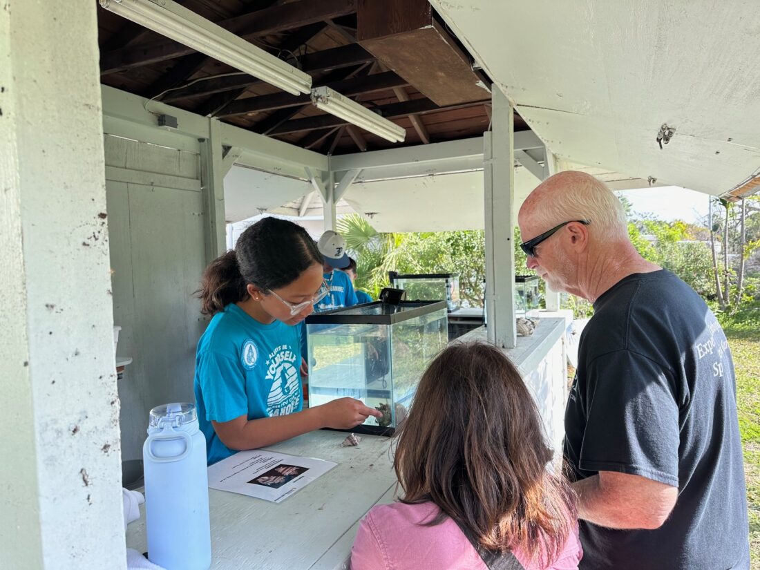 Shell show and shell festival to feature all things shell - SANIBEL ...